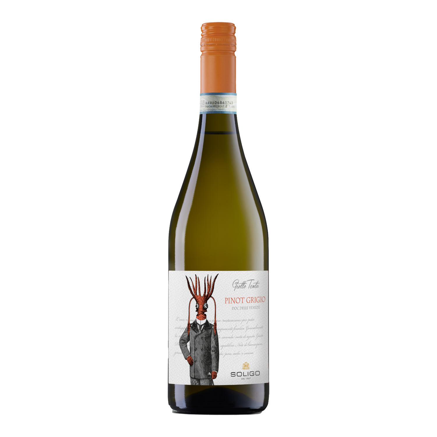 Pinot Grigio delle Venezie DOC 2025 – Colli del Soligo – Mercatone ...